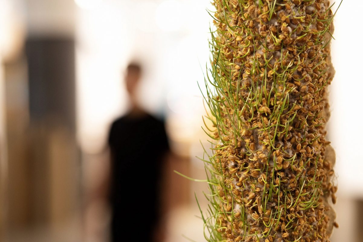 Healthy Materials Lab | Healthy Materials Lab Exhibition at ...