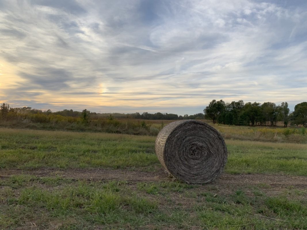 Healthy Materials Lab | Introducing Trace Material